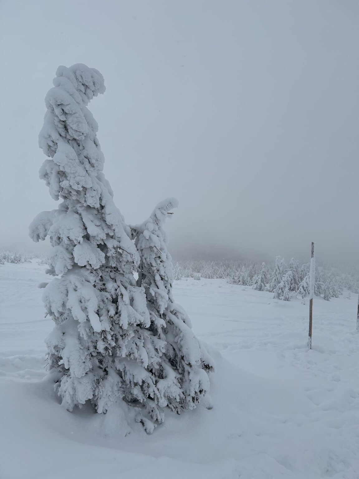 Beer Runners – Blog o bieganiu… i nie tylko
